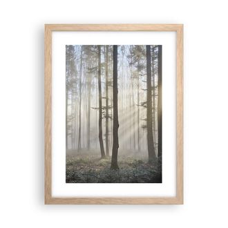Arttor Poster Rahmen helle Eiche Wald Baum Natur Deko 30x40cm Wandposter Art Prints Wandbilder Dekoration Wohnzimmer Schlafzimmer K&uuml;che Wanddeko Bild Wand Ku