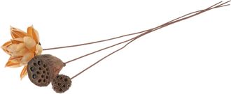 Angoily 1 Satz Trockenblume Mit Stiel Blumenarrangements Als Herzst&uuml;ck K&uuml;nstliche Lotusstiele Ideen F&uuml;r Die Dekoration Von Zen-zimmern Realistische Blumenstr&auml;