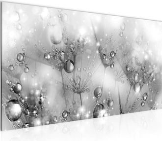 Runa Art Wandbild Pusteblume 1 Teilig 100 x 40 cm Modern Bild auf Vlies Leinwand Gräser Wohnzimmer Schlafzimmer Schwarz Weiss 020812c
