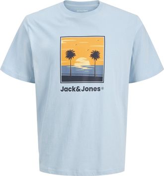 Jack & Jones T-Shirt JJPERRY