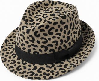 Collezione Alessandro Hut Leo Modern