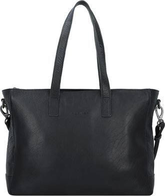 Plevier Shopper Rock