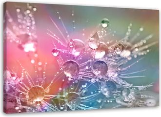 Feeby Wandbild - 1 Teilig - 80x120 cm, Leinwand Bild Leinwandbilder Bilder Wandbilder Kunstdruck, LÖWENZAHN, NATUR, ROSA