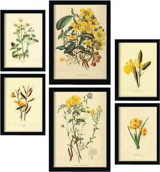 Nacnic Lot de 6 Fleurs jaunes 2 Affiches. Dans Imprim&eacute;s vintage. Impressions d&eacute;coratives esth&eacute;tiques pour votre salon, chambre, maison Tailles A4 et A3