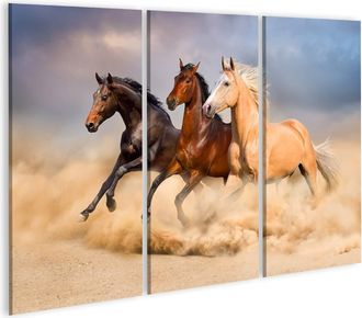 Islandburner Bild auf Leinwand Pferdeherde DREI Pferde Gallopp Kinderzimmer Reiten Bilder Wandbilder Poster