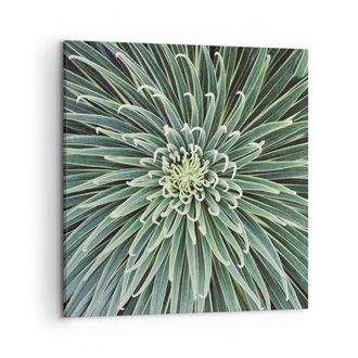 Arttor Wandbilder Dekoration Wohnzimmer Agave Grün Pflanze Bilder auf Leinwand 50x50cm Leinwandbild mit Rahmen Schlafzimmer Küche Deko Wand Kunstdruck Art Kl