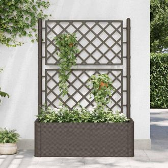 vidaXL Lit sur&eacute;lev&eacute; de jardin et treillis et syst&egrave;me d arrosage Moka