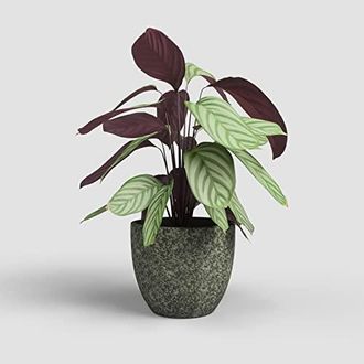 Artevasi Héstia Topf, Blumentopf, Dekorativer Topf, Komplexe Textur, Handgefertigte Keramik, Olivgrün, 17cm