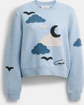 Coach Pullover Mit Applikation