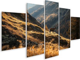 Islandburner Bild auf Leinwand EIN Steinbock Steht stolz in Einer herbstlichen Berglandschaft Bilder Wandbilder Poster