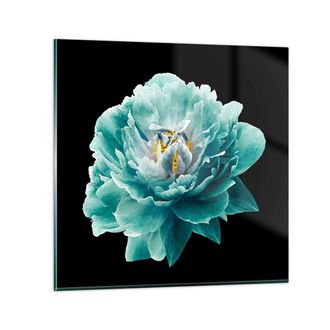 Arttor Bilder auf Glas 70x70cm Glasbild Blume Bl&uuml;hen Pfingstrose Gro&szlig; Wanddeko Bild im Glas Schlafzimmer K&uuml;che Deko Wandbilder Dekoration Wohnzimmer Modern W