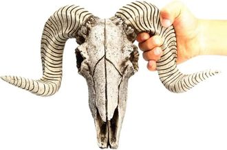 Generic Harz-Ziegen-Schädelkopf, Wandbehang, Dekoration, Sukkulenten, lange Hörner, Wanddekoration, 3D-Tierkopf, Totenkopf, Skulptur, Figuren, Basteln, Orname