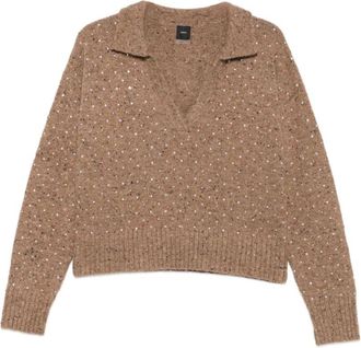 Pinko Pinko, Femme, Pulls, Brun, Taille: 42 FR Nibani Polo Sweater