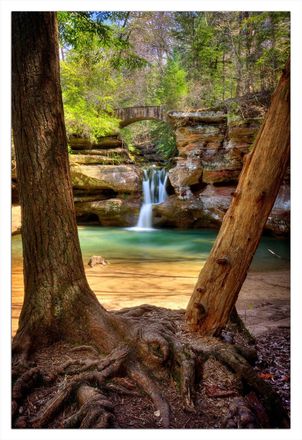 Wallario selbstklebendes Poster - Versteckter Platz im Wald, Aufkleber in Premiumqualit&auml;t, Klebefolie Gr&ouml;&szlig;e: 61 x 91,5 cm (Maxiposter)