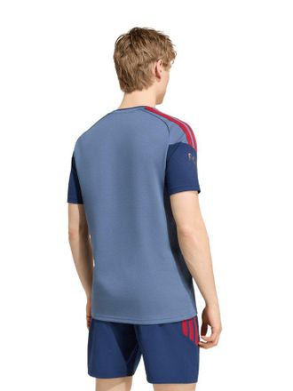 adidas Performance T-Shirt FC Bayern M&uuml;nchen, Authentic T-Shirt Teamline, Herren, Blau