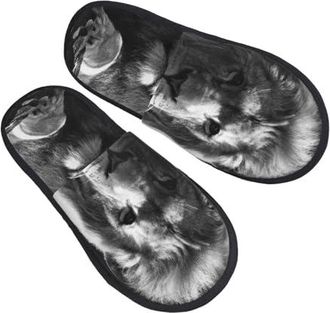 Generic Hiver Pantoufles Lion Antid&eacute;rapant Pantoufles DH&ocirc;tel Chaud Chaussons Pour Voyage Invit&eacute; Spa L