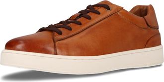 Salamander Herren Businessschuhe, M&auml;nner Schn&uuml;rer,Budapester Style,elegant,b&uuml;ro,Freizeit,Schnuerschuhe,Schnuerer,Low-tie,Cognac (6300),46 EU/EU UK