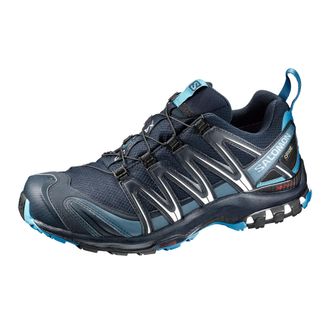 Salomon XA PRO 3D Gore-Tex, Herren-Trailrunning-Schuhe, Zehenverst&auml;rkung, F&uuml;r Alle Gel&auml;ndetypen Geeignet, In Anderen Farben Erh&auml;ltlich