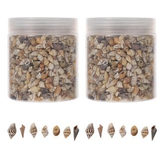 Angoily 2 Boxen Nat&uuml;rliches Muschelf&uuml;llmaterial Boxen DIY Basteln Epoxidharz Schmuckf&uuml;llung Geschenkbox f&uuml;r Stranddekor und Wohnaccessoires