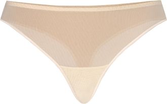 Teyli String Nikola