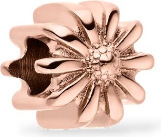 Purelei LEI Aster Charm - Geburtsblume September