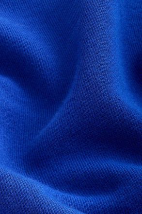 Next Sweater Leichtes Jersey-Sweatshirt mit Rundhalsausschnitt (1-tlg)