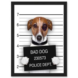 Wee Blue Coo Jack Russell Bad Dog Mugshot Police Photo Artwork Framed Wall Art Print A4