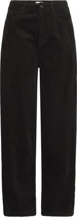 Ichi Hose IHFocaro