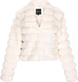 Taddy Jacke