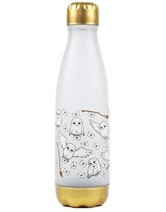Harry Potter Bouteille deau Enfants Hedwig Lettre Hibou 600ml Boissons Plastic taille unique
