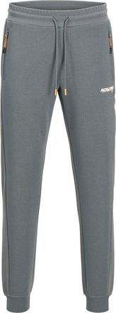 Jack & Jones Male Jogginghose Regular Fit Jogginghose