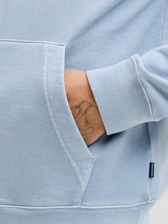 Jack & Jones Kapuzensweatshirt JPRBLUAIDEN HOOD SWEAT Baumwolle, regular fit