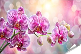 Islandburner XXL Bild Poster Rosa Orchideen Flecken Streifen Premium Bilder Fotodruck