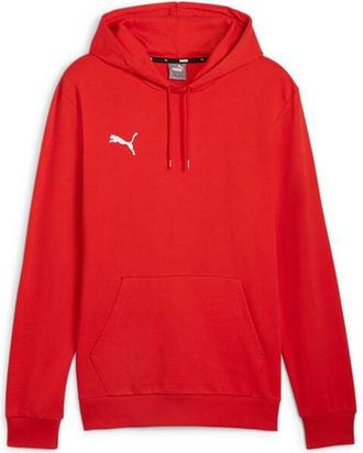 Puma Herren Pullover teamGOAL Casuals Hoody