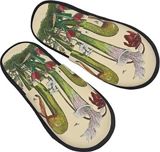 Generic Chaussons Femme Homme Plante Carnivore Chaussures Confort Chaussures DInt&eacute;rieur Chaude Chaud Chaussons Pour Voyager Int&eacute;rieur Ext&eacute;rieur L