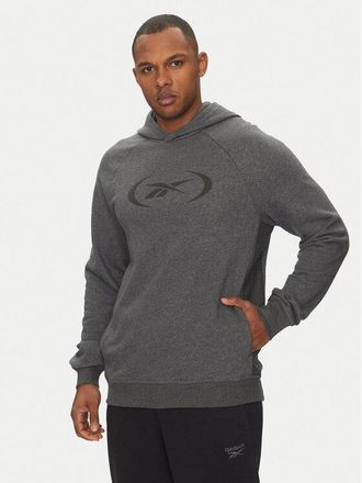 Reebok Sweatshirt 100214853 Grau Regular Fit