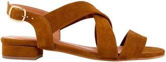 Cosmoparis Femme, Chaussures, Brun, Taille: 39 EU Vassio Flat Sandal