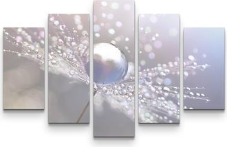 Paul Sinus Art Leinwandbilder | Bilder Leinwand 160x100cm Pusteblume mit Wassertropfen