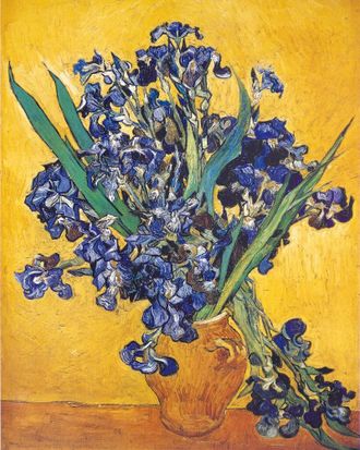 1art1 Vincent Van Gogh Poster Iris, 1889 Bilder Leinwand-Bild Auf Keilrahmen | XXL-Wandbild Poster Kunstdruck Als Leinwandbild 50x40 cm