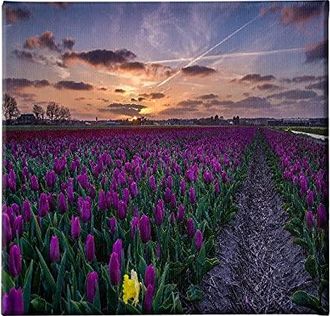 Homemania Bild Blumen - Natur und Landschaft - für Wohnzimmer, Schlafzimmer, mehrfarbig, aus Polyester, Holz, 60 x 3 x 60 cm - HM20KNV60x60-202