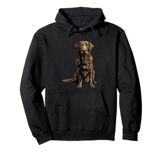 Whyitsme Design Braune, flach beschichtete Retriever-Hunde-Illustration Pullover Hoodie