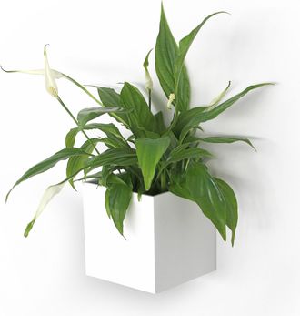 KalaMitica Magnetischer Würfel Kosmos, Aufbewahrungsbox für Magnettafeln und andere Metalloberflächen - Weiß lackiert mit matter Oberfläche - 9,5 x 9,5 x 9,8 cm