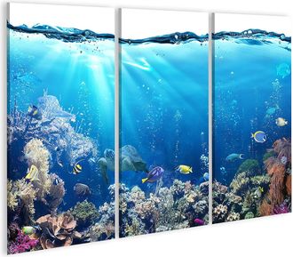 Islandburner Bild auf Leinwand Unterwasser Mit Riff Und Tropischen Fischen Aquarium Hintergrund Bilder Wandbilder Poster