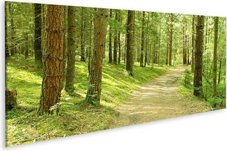 Islandburner Bild auf Leinwand Pfad Im Finnischen Wald Gr&uuml;ne Landschaft Bilder Wandbilder Poster