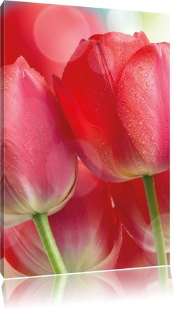 Pixxprint Rote Tulpen, Gr&ouml;&szlig;e: 60x40cm, Leinwandbild, fertig gespannt, Wandbild, Dekoration, Kunstdruck, kein Poster