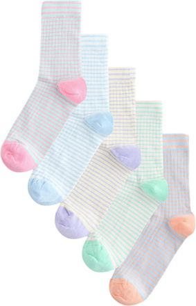 Next Socken