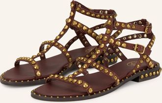 Ash Sandalen Precious Mit Nieten braun