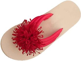 Generic 2026, Rouge, 36.5 EU