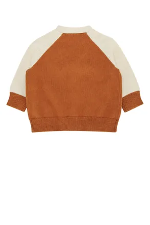 BONPOINT Boys Layette Brown Coton Biologique Cachemire Maglieria Sweater