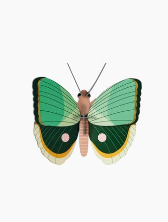 studio roof Wanddeko, Verschiedene Schmetterlinge | Umweltfreundlich und kreatives Geschenk | In vielen Farben (Eisen Striped)